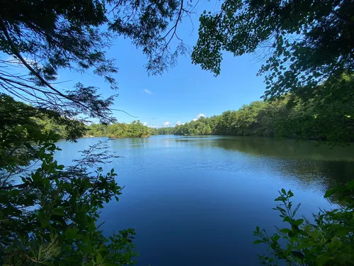 Best 10 Hiking Trails in Breakheart Reservation | AllTrails