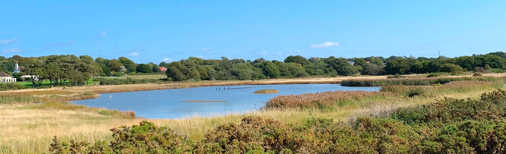 Warsash Common and Solent Circular, Hampshire, England - 137 Reviews ...