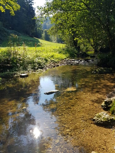 2023 Best 10 Trails and Hikes in Basel Country | AllTrails