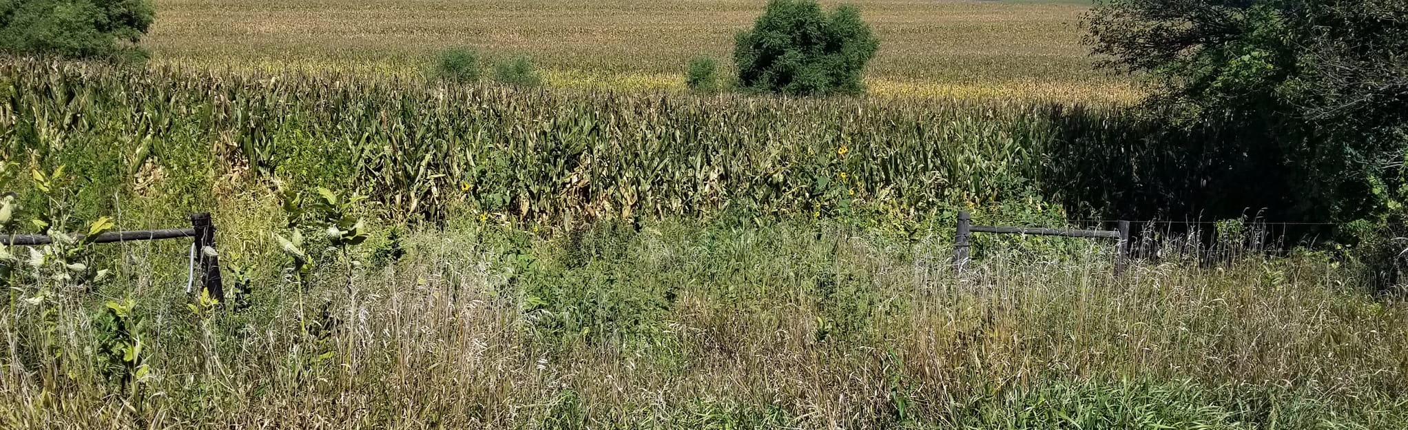 MoPac East Trail, Nebraska - 258 Reviews, Map | AllTrails