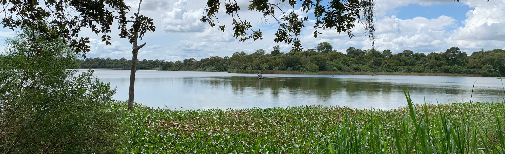 Armand Bayou Lady Bird, Karankawa, and Martyn Loop, 136 Photos - Texas ...