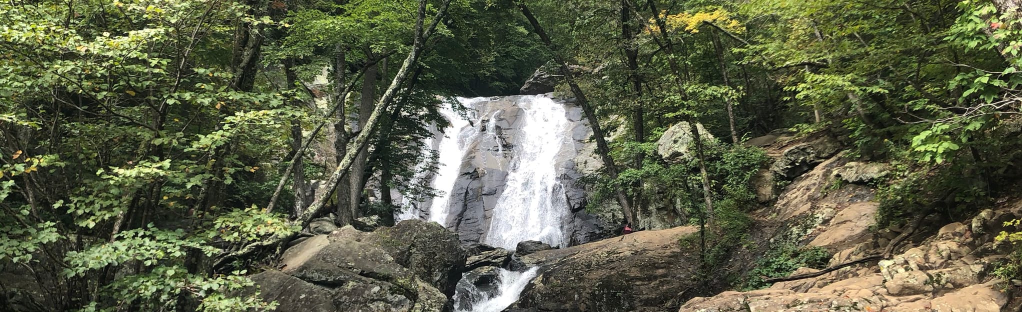 Whiteoak Canyon and Cedar Run Trail Loop - Virginia | AllTrails