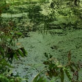 Unicoi State Park Bike Trails, Georgia - 106 Reviews, Map | AllTrails