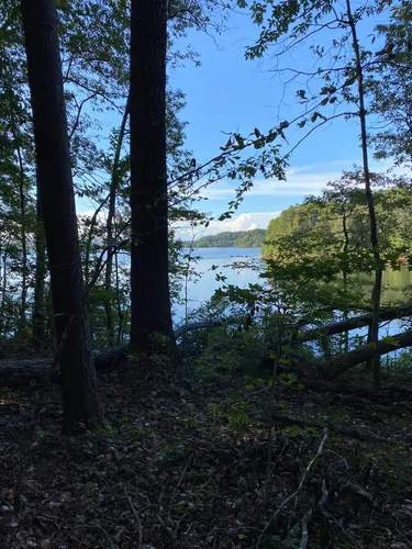 10 Best Hikes and Trails in Clemson Experimental Forest | AllTrails