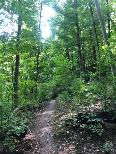 Best Short Trails in Hamilton Conservation Authority | AllTrails