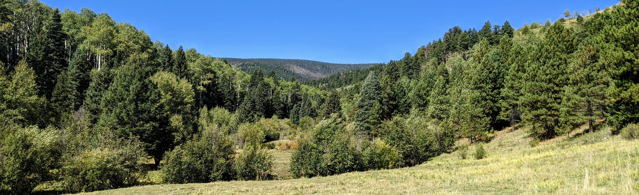 Hermit Peak to Porvenir Divide Trails Loop: 12 Reviews, Map - New ...