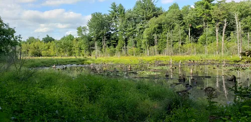 2023 Best Easy Trails in Marlborough-Sudbury State Forest | AllTrails