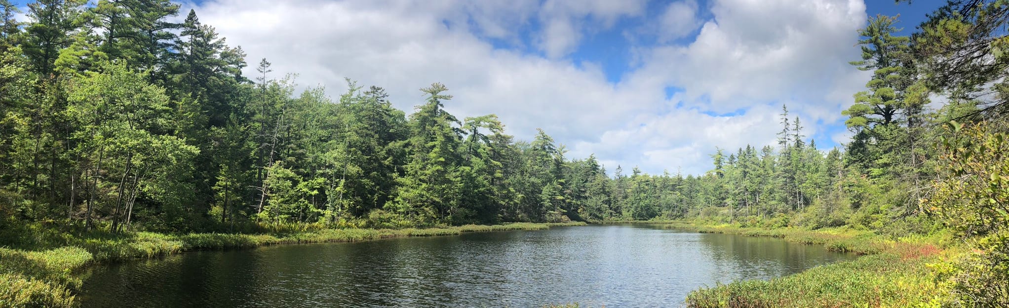 Western Ridge, White Birch, and Lake Ann Trail Loop: 69 Reviews, Map ...