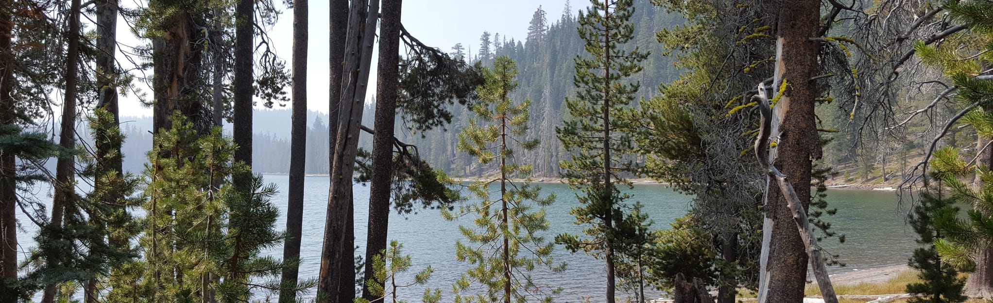 Butte Lake to Snag Lake, Nobles Emigrant, PCT and Rainbow Lake Loop ...
