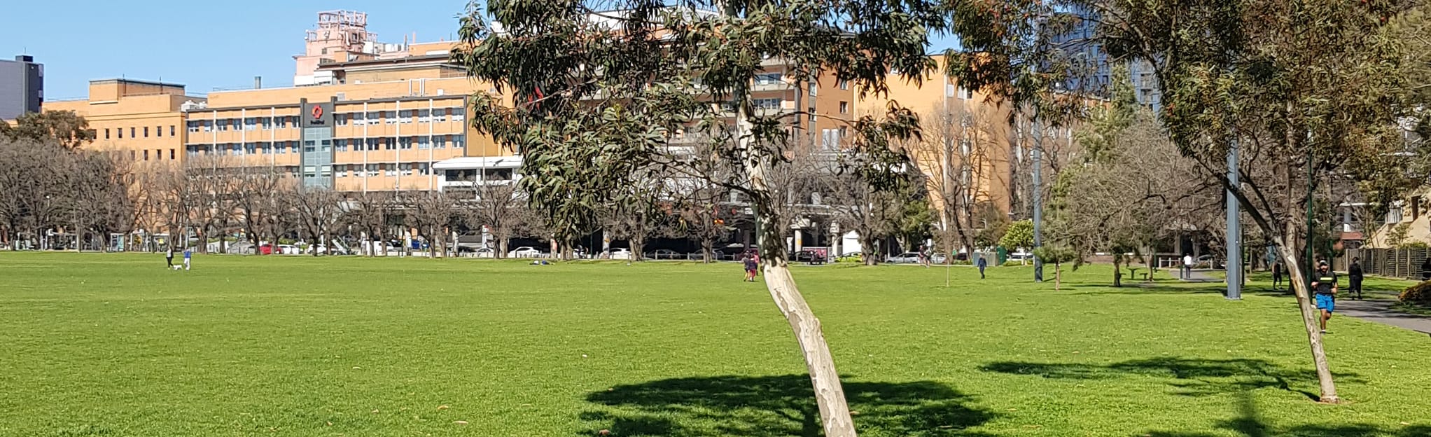 Fawkner Park Perimeter Loop, Victoria, Australia - 20 Reviews, Map ...