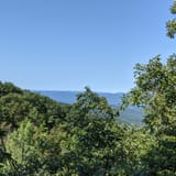 Mathews Arm Overall Run Trail, Virginia - 210 Reviews, Map | AllTrails