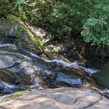 Mathews Arm Overall Run Trail, Virginia - 228 Reviews, Map | AllTrails