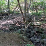 Mathews Arm Overall Run Trail, Virginia - 211 Reviews, Map | AllTrails
