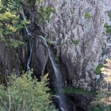 Mathews Arm Overall Run Trail, Virginia - 211 Reviews, Map | AllTrails