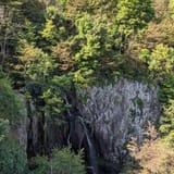 Mathews Arm Overall Run Trail, Virginia - 218 Reviews, Map | AllTrails