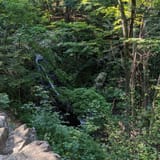 Mathews Arm Overall Run Trail, Virginia - 218 Reviews, Map | AllTrails