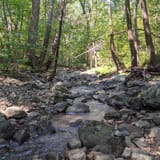 Mathews Arm Overall Run Trail, Virginia - 228 Reviews, Map | AllTrails