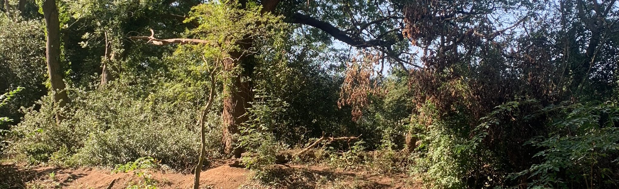 Beverly Brook Trail, London, England - 30 Reviews, Map | AllTrails