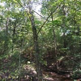 Lake Bryan Trail, Texas - 247 Reviews, Map | AllTrails