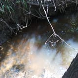 Lake Bryan Trail, Texas - 247 Reviews, Map | AllTrails