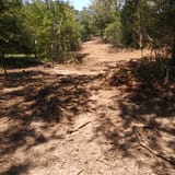 Lake Bryan Trail, Texas - 247 Reviews, Map | AllTrails