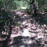 Lake Bryan Trail, Texas - 247 Reviews, Map | AllTrails