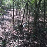 Lake Bryan Trail, Texas - 247 Reviews, Map | AllTrails