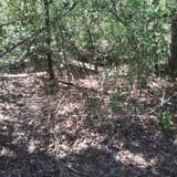 Lake Bryan Trail, Texas - 247 Reviews, Map | AllTrails