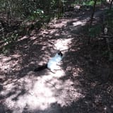Lake Bryan Trail, Texas - 247 Reviews, Map | AllTrails