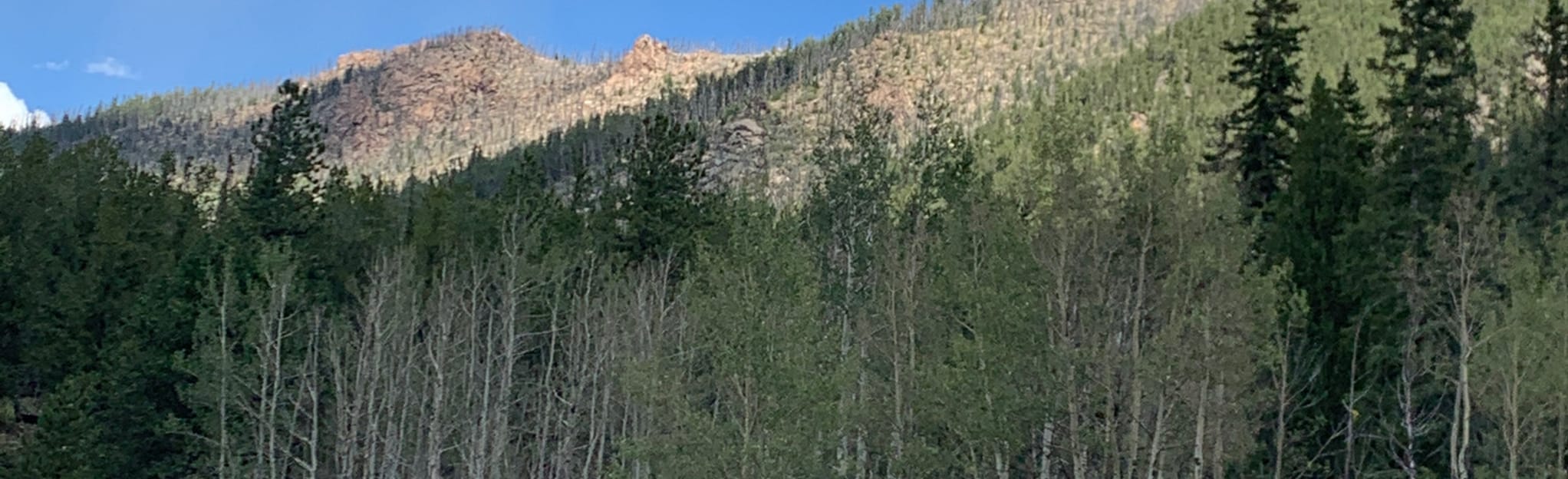 Gulch OHV Trail: 21 Reviews, Map - Colorado | AllTrails