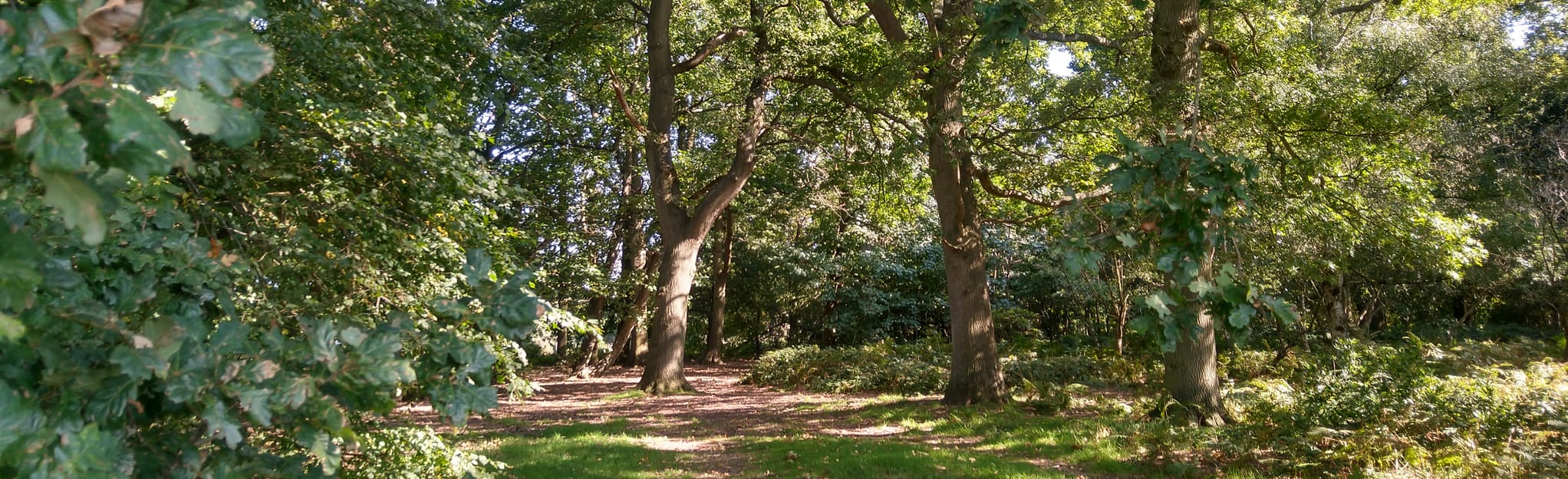 Shrewley Circular, Warwickshire, England - 31 Reviews, Map | AllTrails