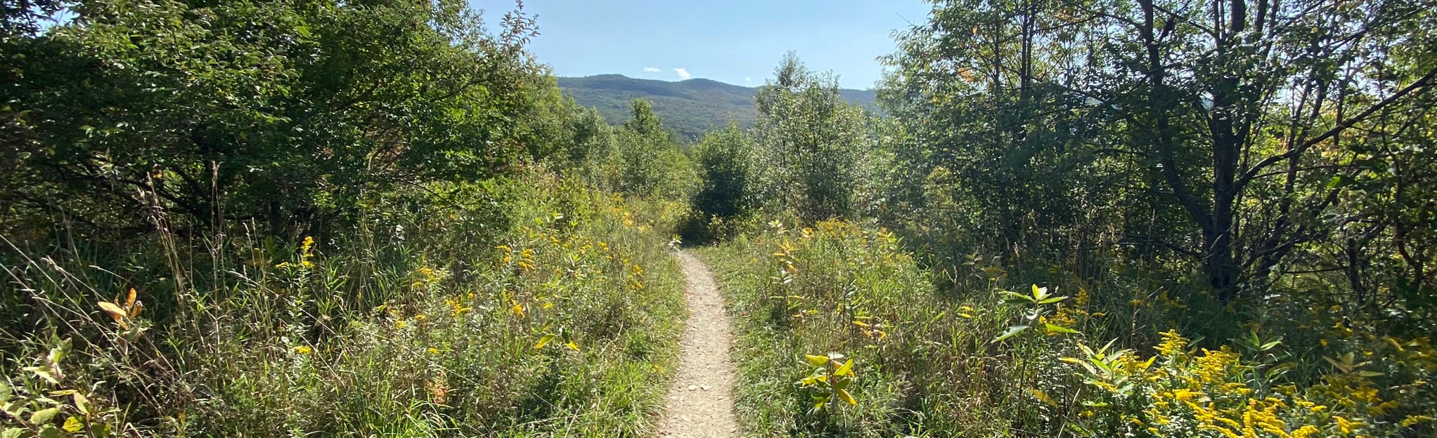 Tootsie Roll Trail Loop, Vermont - 47 Reviews, Map | AllTrails