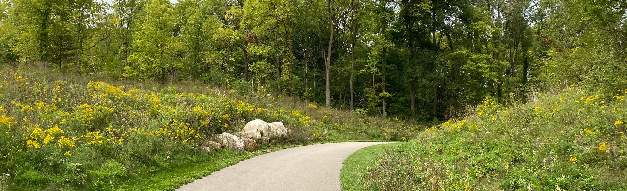 Matthaei Botanical Gardens Trail, Michigan - 404 Reviews, Map | AllTrails
