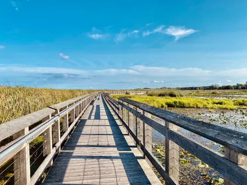 Best 10 Hiking Trails in Point Pelee National Park | AllTrails
