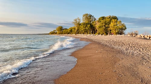 Best 10 Hikes and Trails in Point Pelee National Park | AllTrails
