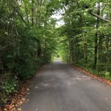 Arc Corner Monument Loop, Delaware - 189 Reviews, Map | AllTrails