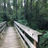 Arc Corner Monument Loop, Delaware - 189 Reviews, Map | AllTrails