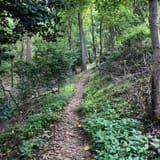 Arc Corner Monument Loop, Delaware - 189 Reviews, Map | AllTrails
