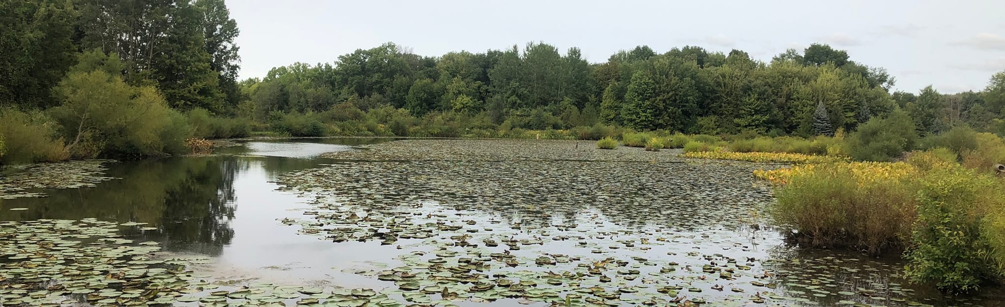 Oak Leaf Loop: 973 Reviews, Map - Ohio | AllTrails