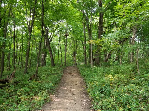 10 Best Trails and Hikes in Iowa | AllTrails