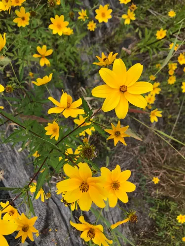 Best Hikes and Trails in Philip A. Bolen Memorial Park | AllTrails