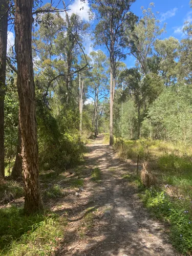 10 Best Trails and Hikes in Mount Cotton | AllTrails