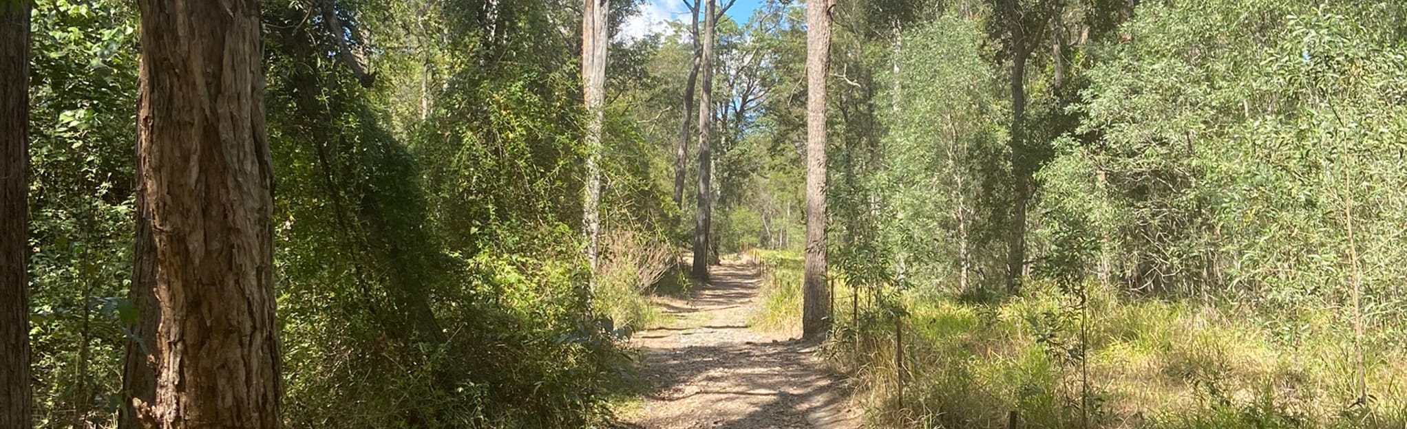 Sandy Creek Perimeter Loop, Queensland, Australia - 78 Reviews, Map ...