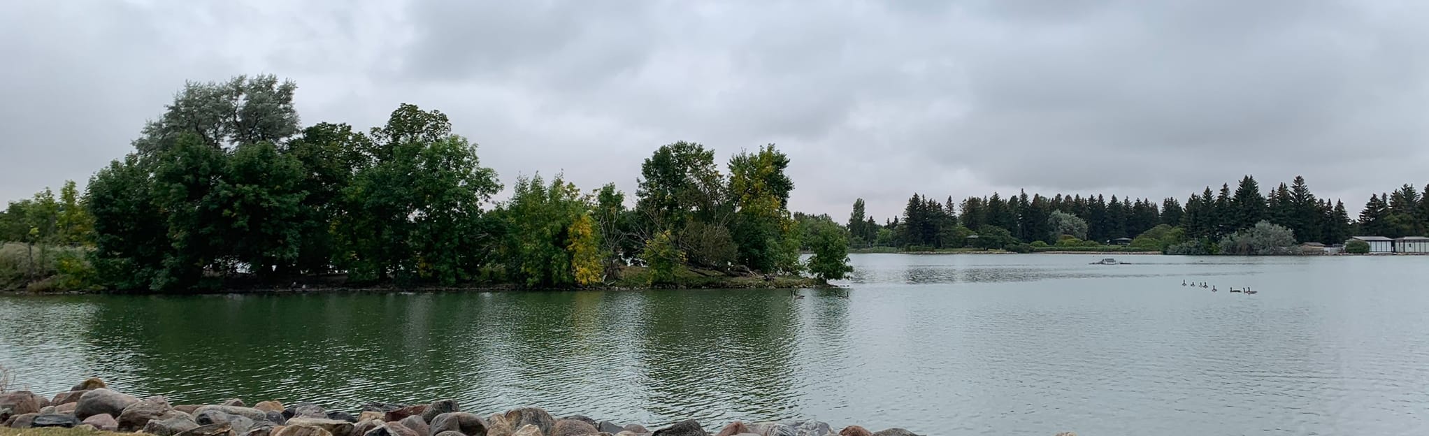 Henderson Lake Loop: 56 foto's - Alberta, Canada | AllTrails