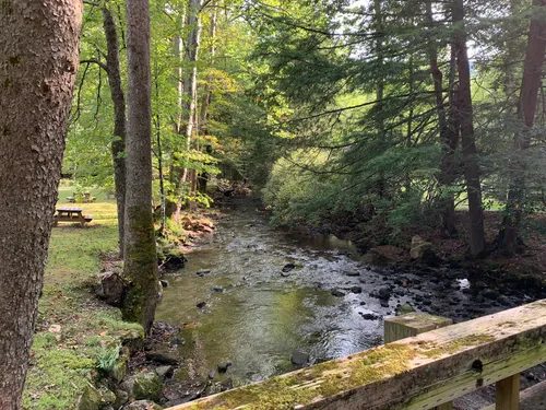 Best Hikes and Trails in Holly River State Park | AllTrails