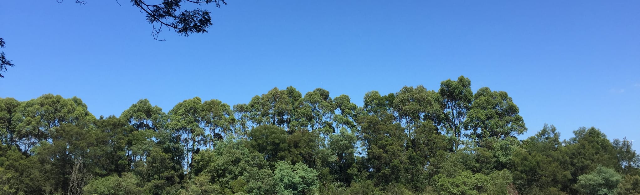 Orbost Snowy River Walk, Victoria, Australia - 6 Reviews, Map | AllTrails