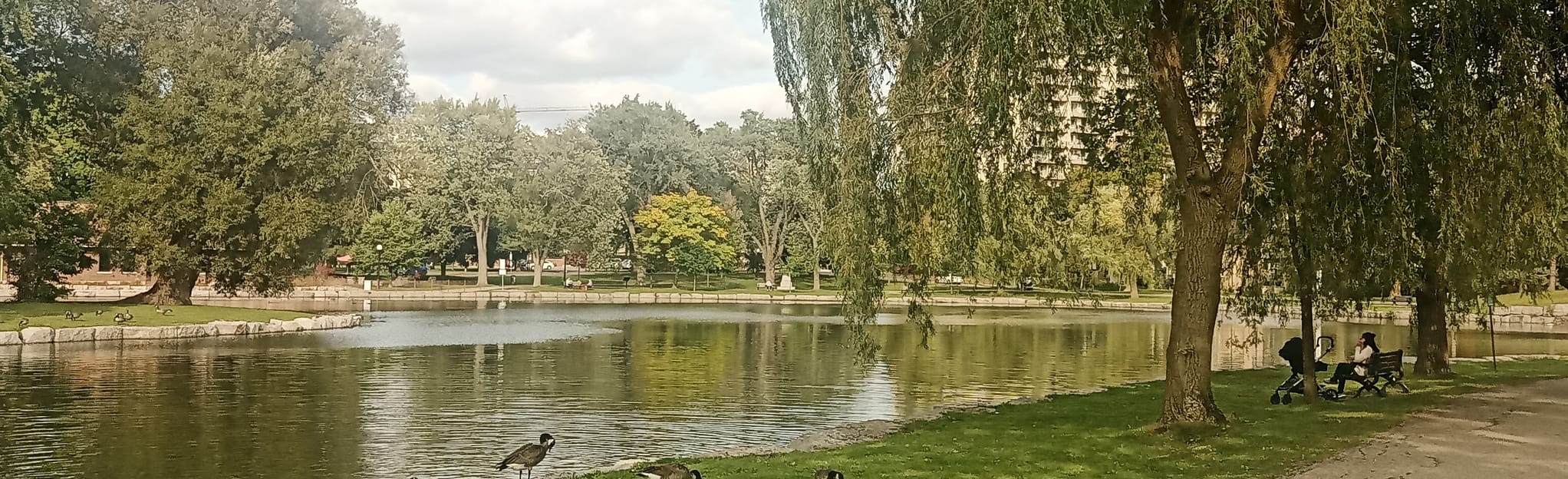 Victoria Park Lake Loop: 251 Reviews, Map - Ontario, Canada | AllTrails