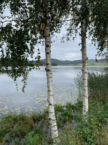 Best Hikes and Trails in Sandved Park and Lake Stokkalandsvatn | AllTrails