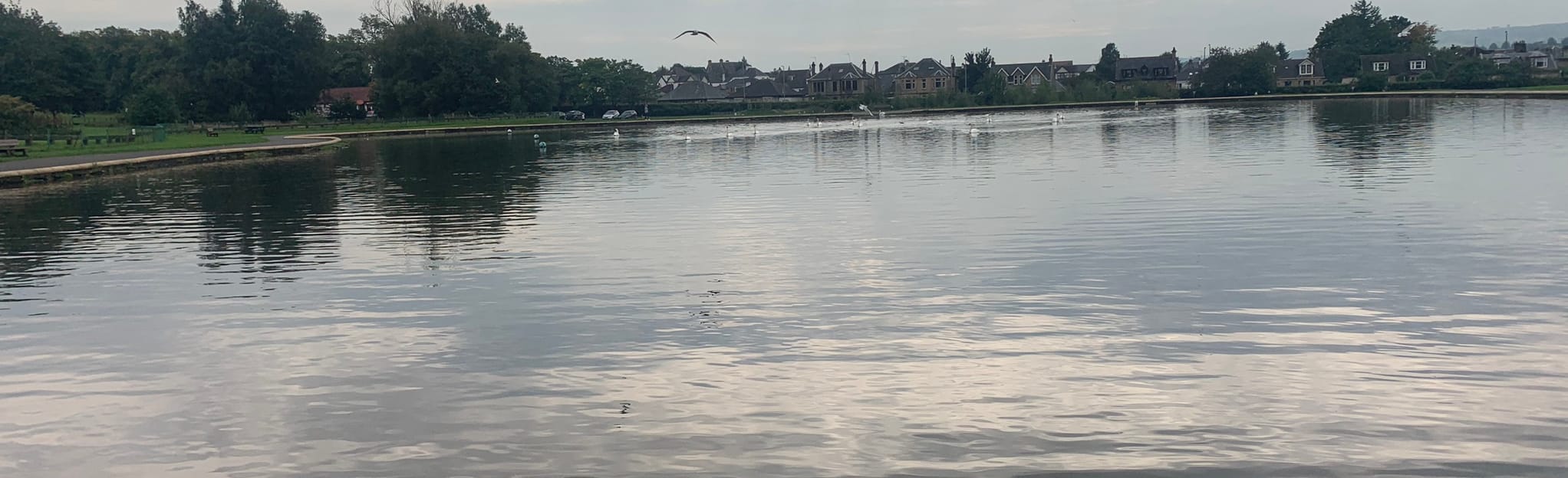 Barshaw Park Loop, Renfrewshire, Scotland - 26 Reviews, Map | AllTrails