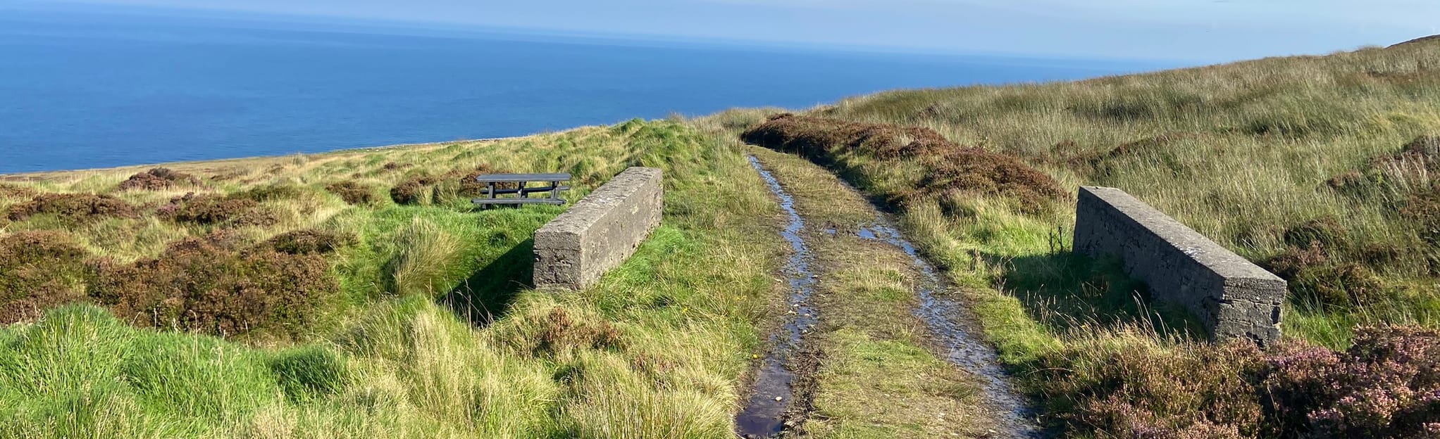Inishowen Trail Loop: 85 Reviews, Map - County Donegal, Ireland | AllTrails